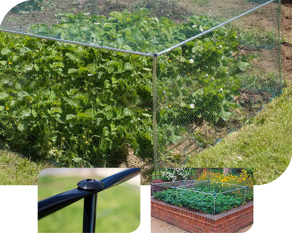 Best Fruit and Crop Cages for an Allotment – Knowle Nets