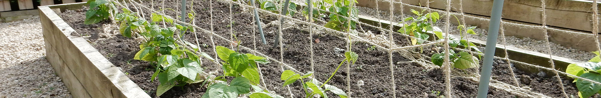 Plant Netting | Fruit Cage Netting | Knowle Nets