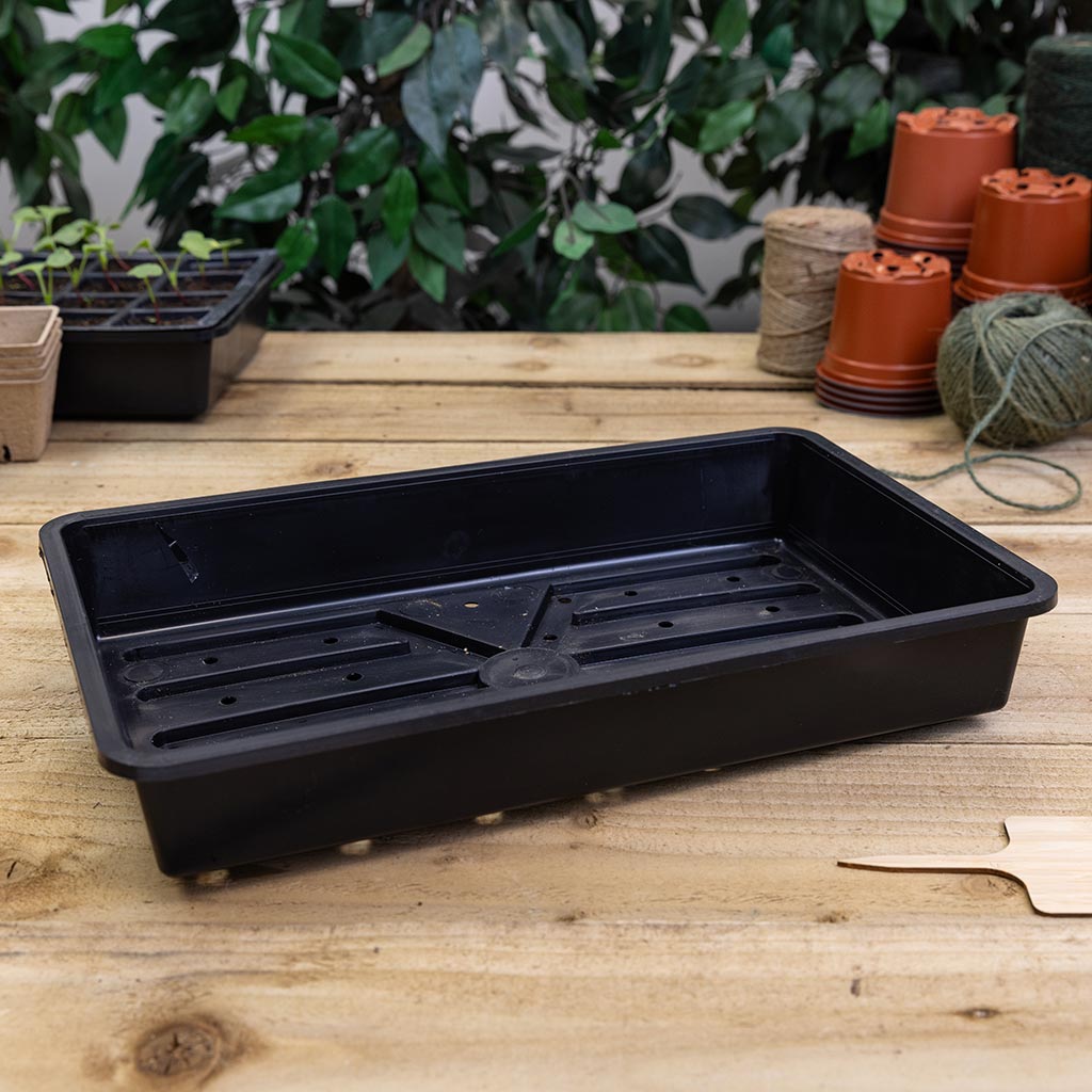 Black Seed Starting Tray Sfee 5 Pack Seed Starter Tray Kit, 60