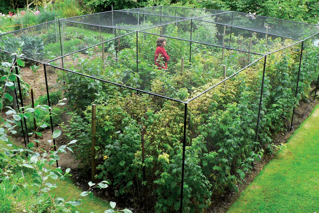 Fruit Cages I Garden Netting I Pest Control Netting – Knowle Nets