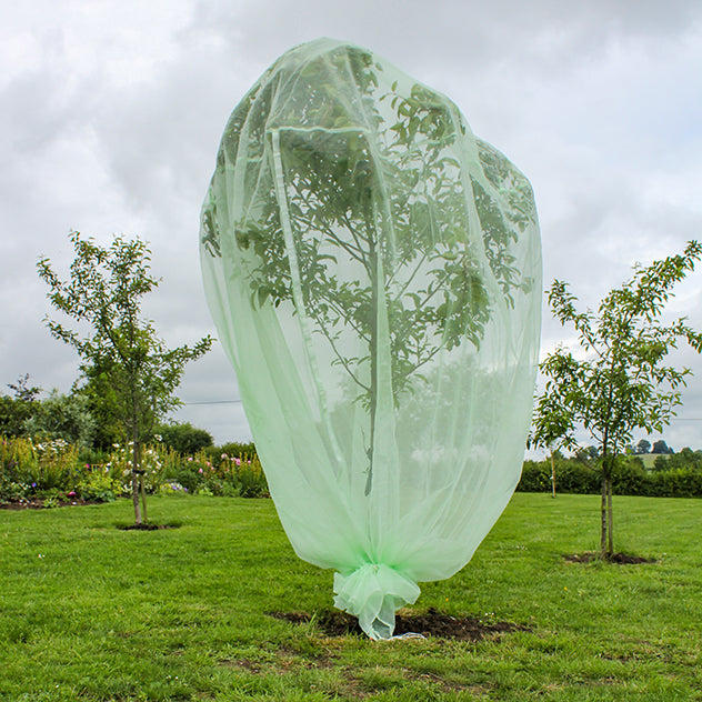 Fruit Tree Protection Net 2m | Knowle Nets