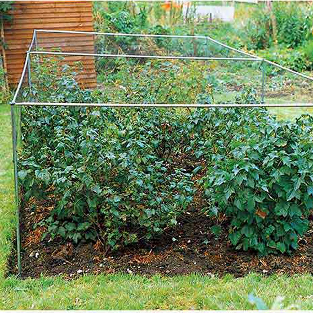 Aluminium Vegetable Cage | Vegetable Cages | Knowle Nets