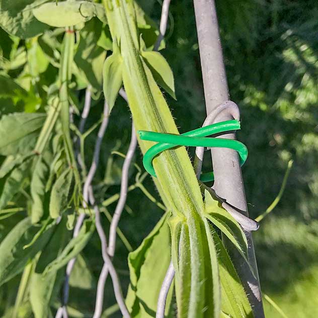 Soft Ties 3mm | Knowle Nets