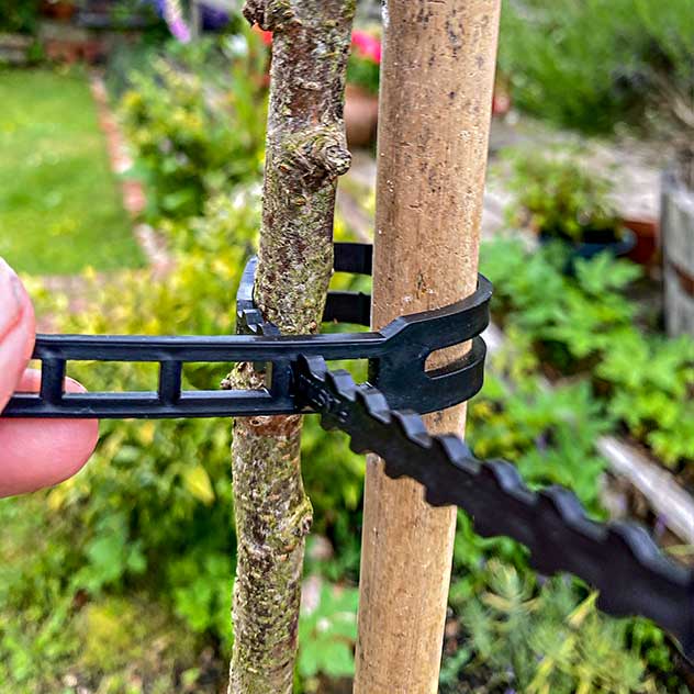 Tree Binders 450mm | Knowle Nets