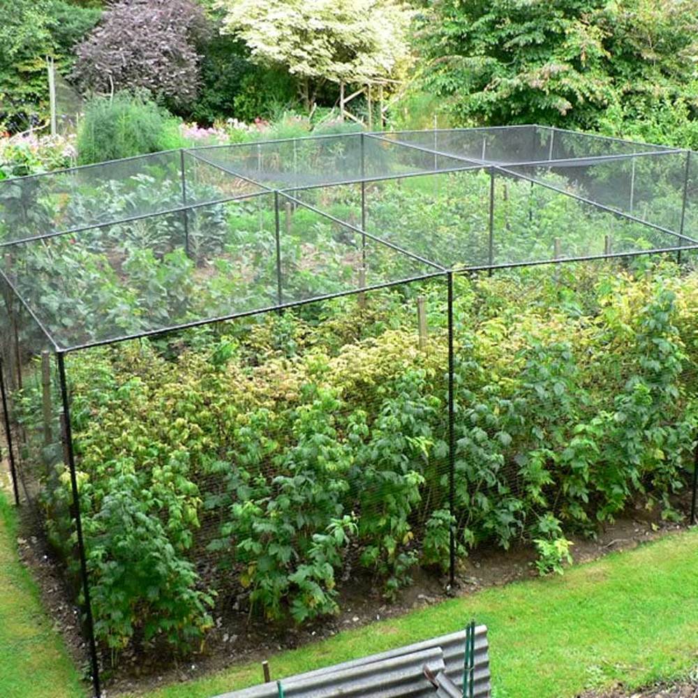 Steel Walk-in Fruit Cage | Walk-In Fruit Cages | Knowle Nets