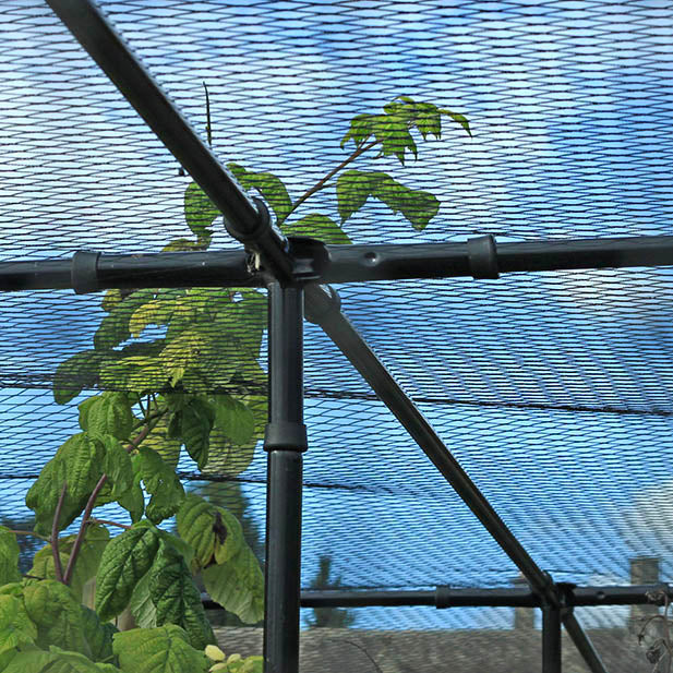 Fruit Cage Roof Net - 19mm Woven Diamond Mesh | Knowle Nets